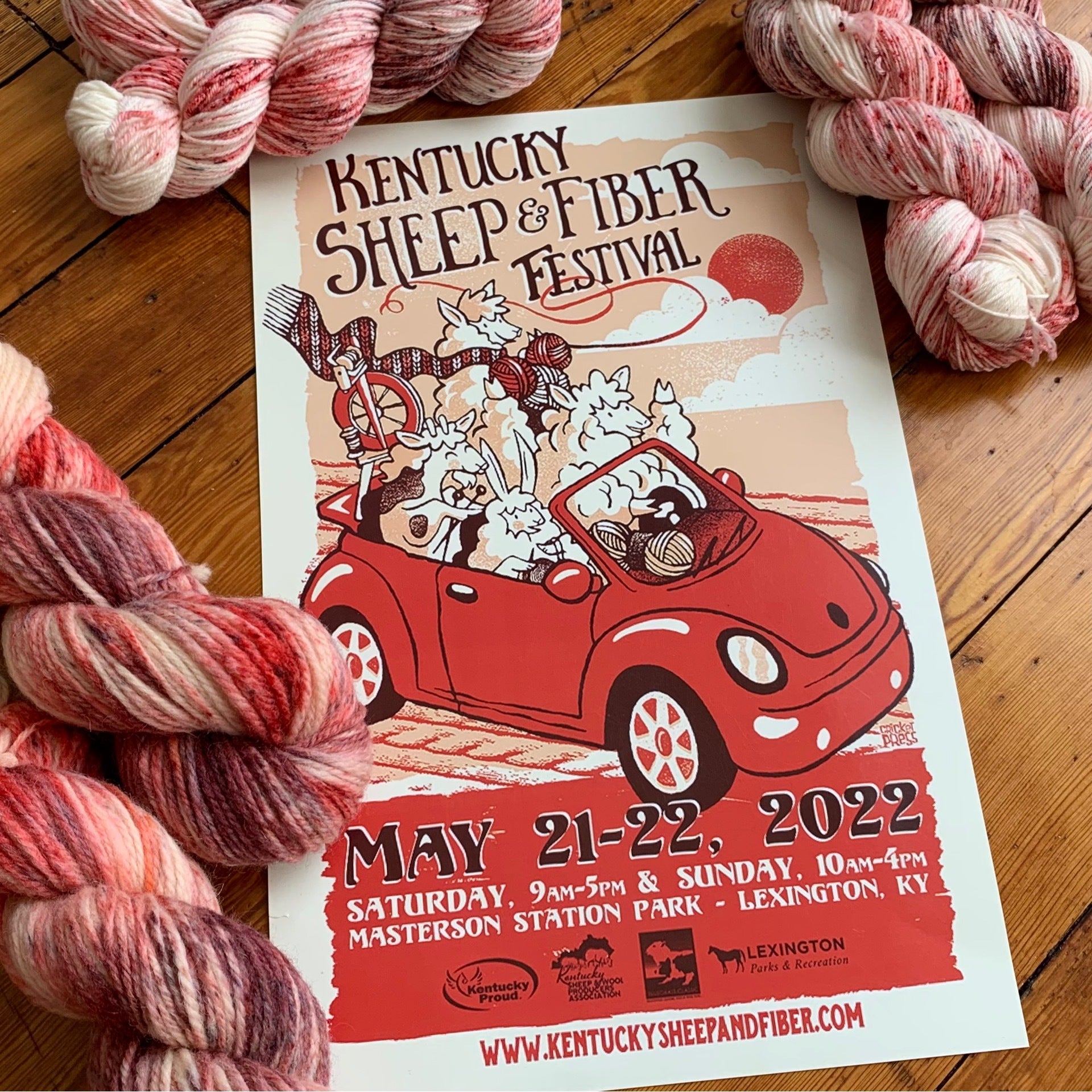 NT Hand Dyed KSFF 2022 yarn | Creative Twist Studio